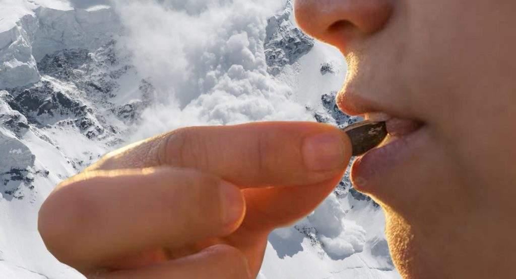 Un cocalar a spart semințe atât de zgomotos încât a provocat o avalanșă ...