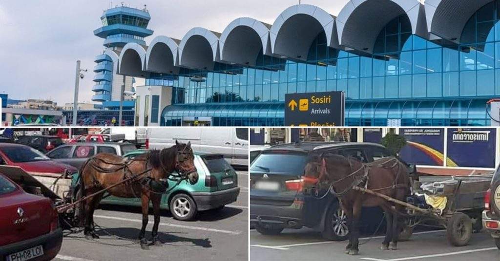 Aeroportul Otopeni va avea parcare long term de căruțe, cu iesle pentru cai